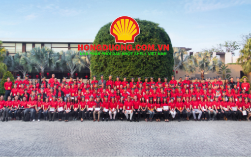 Bảng giá dầu động cơ Shell cập nhất mới nhất